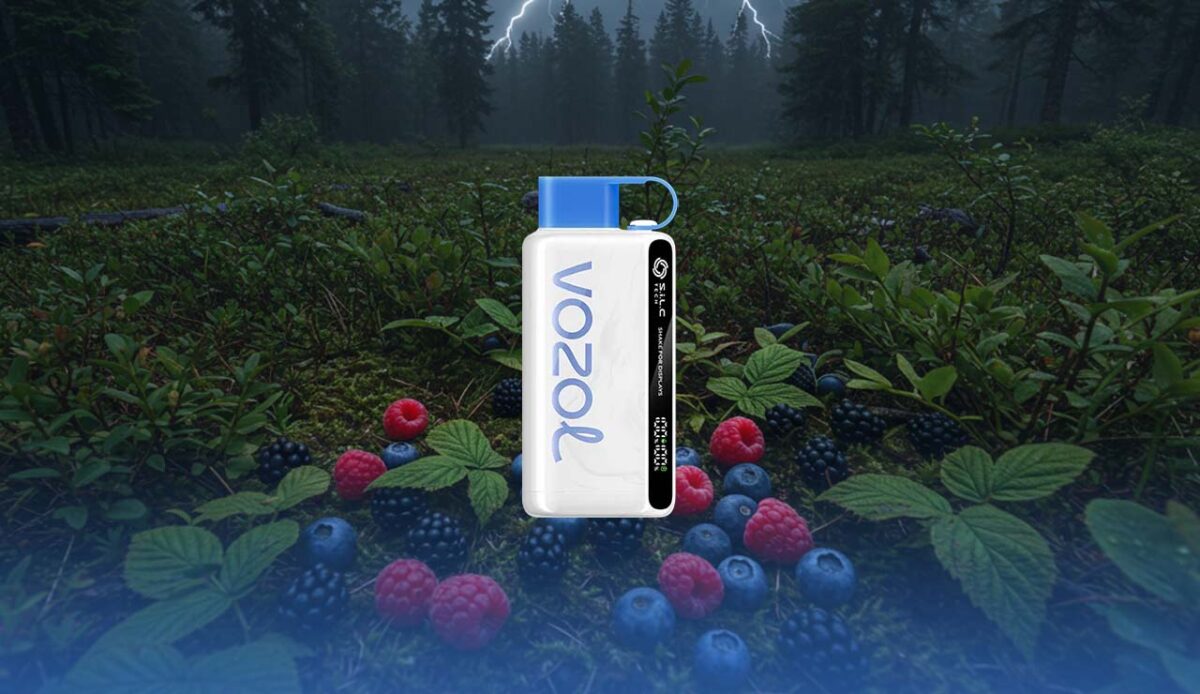 Vozol Forest Berry Storm Nedir? - VozolStore